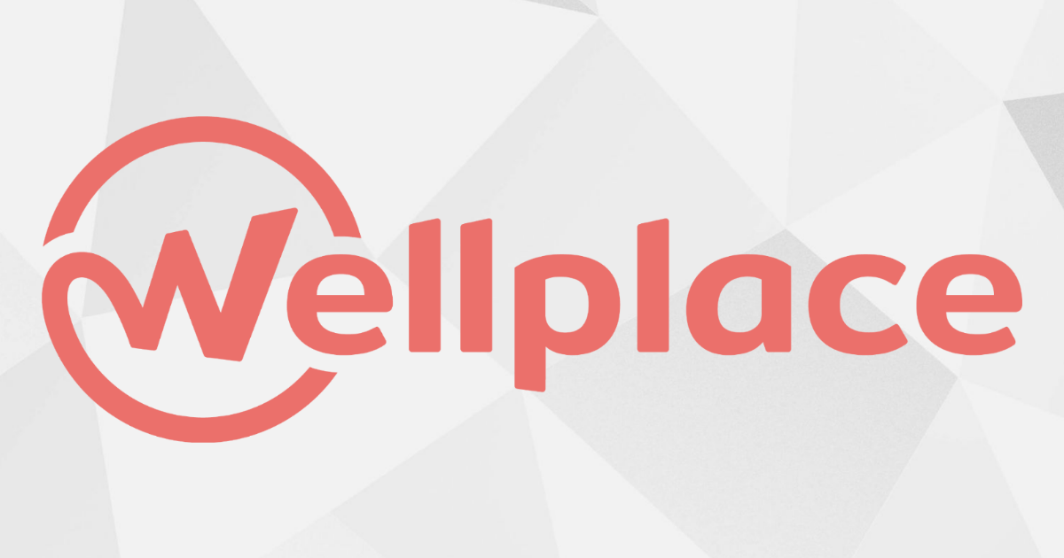 Wellplace - моноблоки и ноутбуки, ремонт техники