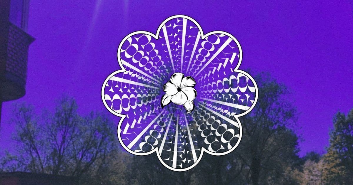 Q-VIOLET CORE